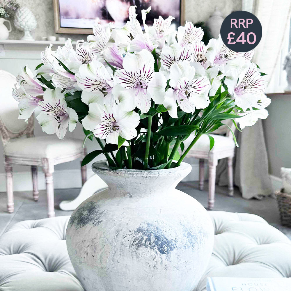 Buy White Flowers | White Bouquet | Fresh Flower Delivery – Floralty