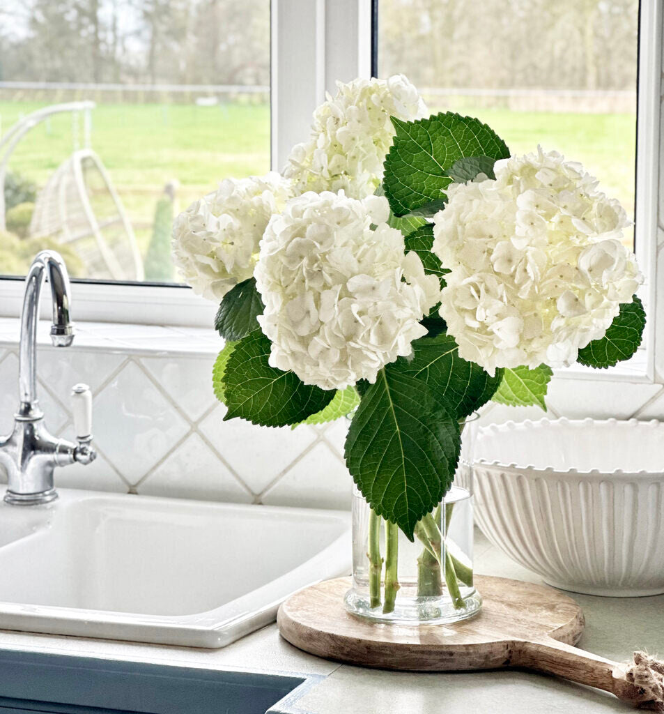 Buy White Hydrangeas | Big Flower Bouquet | Fresh Flower Delivery ...