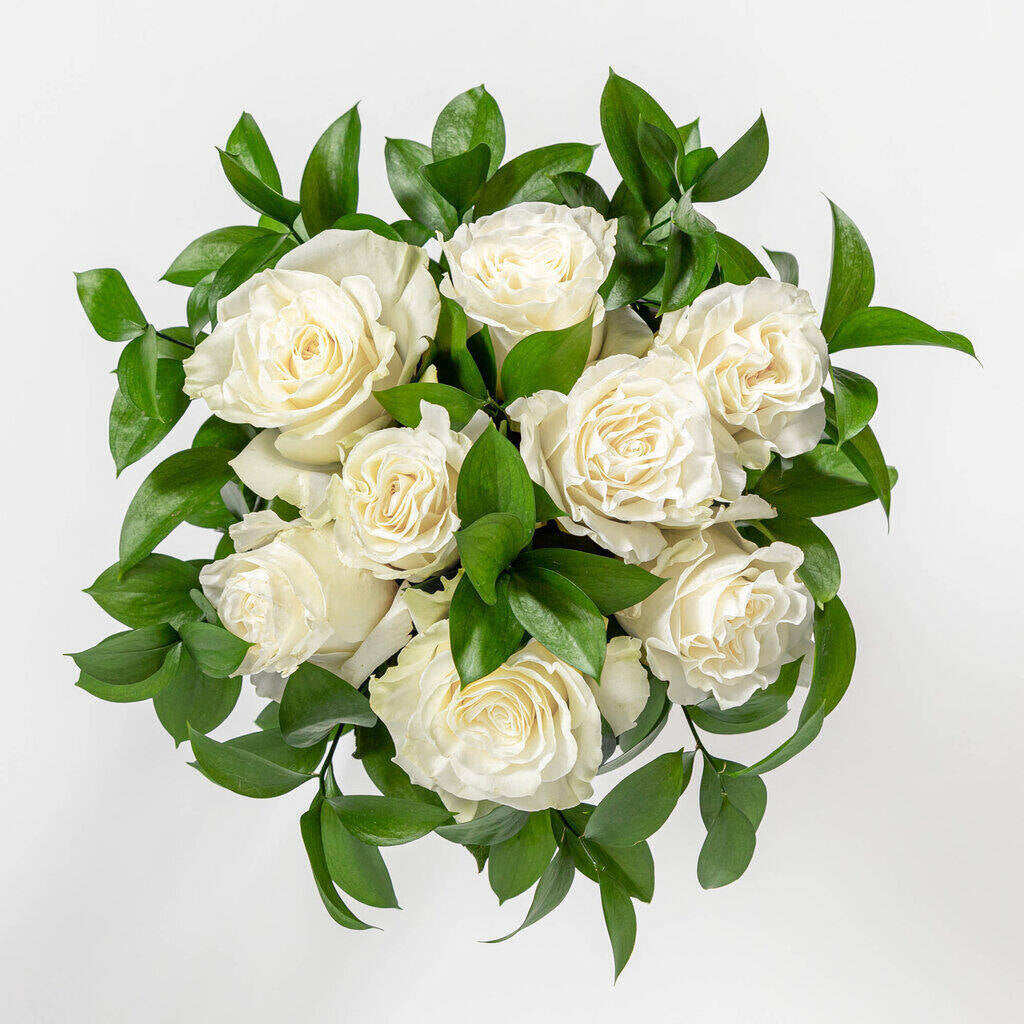 Buy White Roses | Fresh Roses Delivery – Floralty